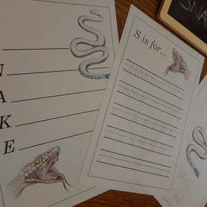 Snake Unit Study, Life Cycle, Anatomy, Nature Worksheets INSTANT ...
