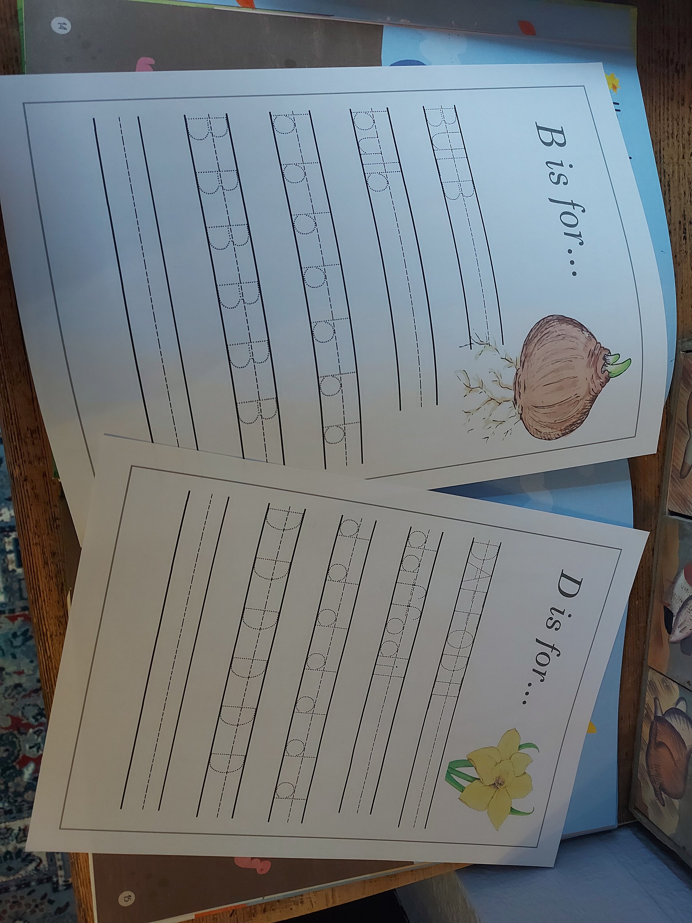 Daffodil Life Cycle | Nature Study | Spring Plants | Montessori ...