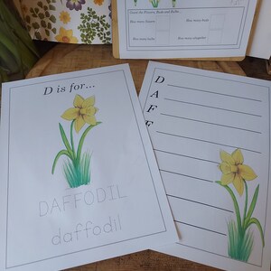 Daffodil Life Cycle | Nature Study | Spring Plants | Montessori ...