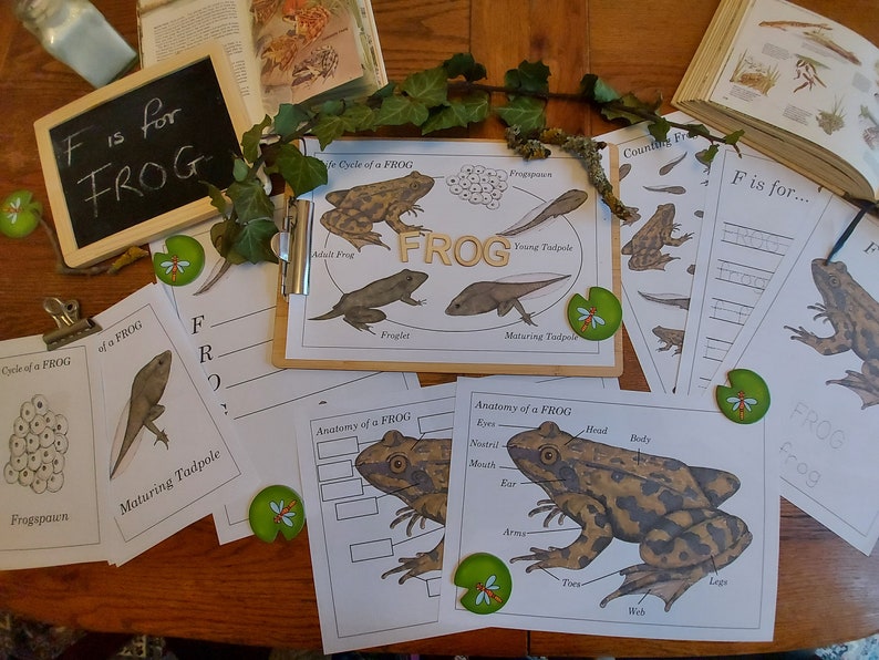 Frog Unit Study, Life Cycle, Anatomy, Nature Printables, INSTANT ...