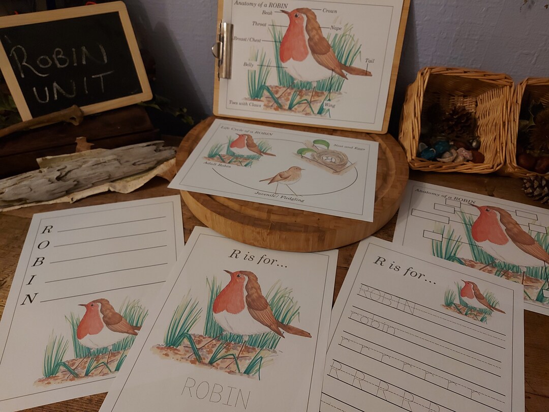 Robin Unit - Anatomy, Life Cycle, Handwriting | Montessori | Home ...