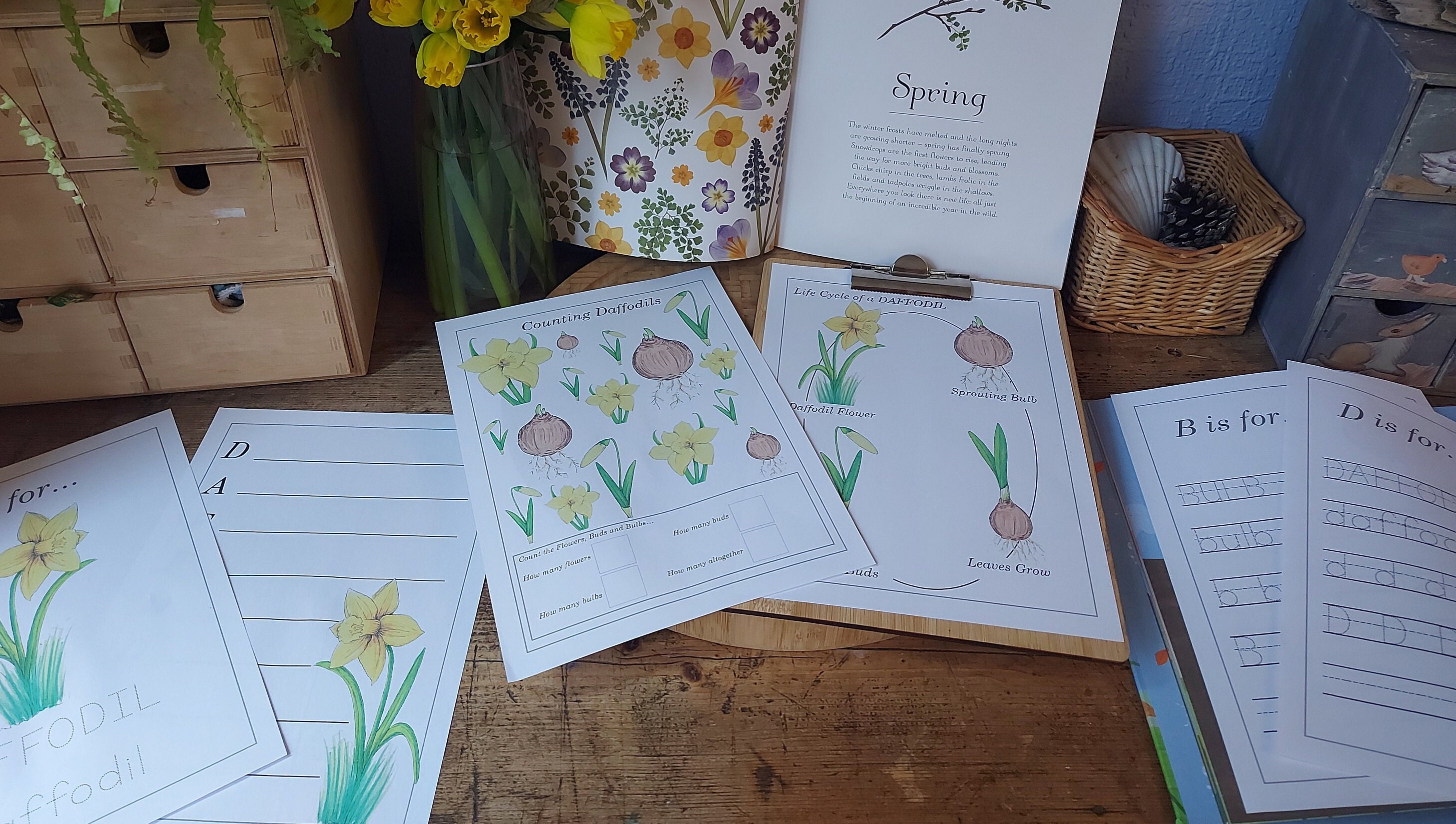 Daffodil Life Cycle | Nature Study | Spring Plants | Montessori ...