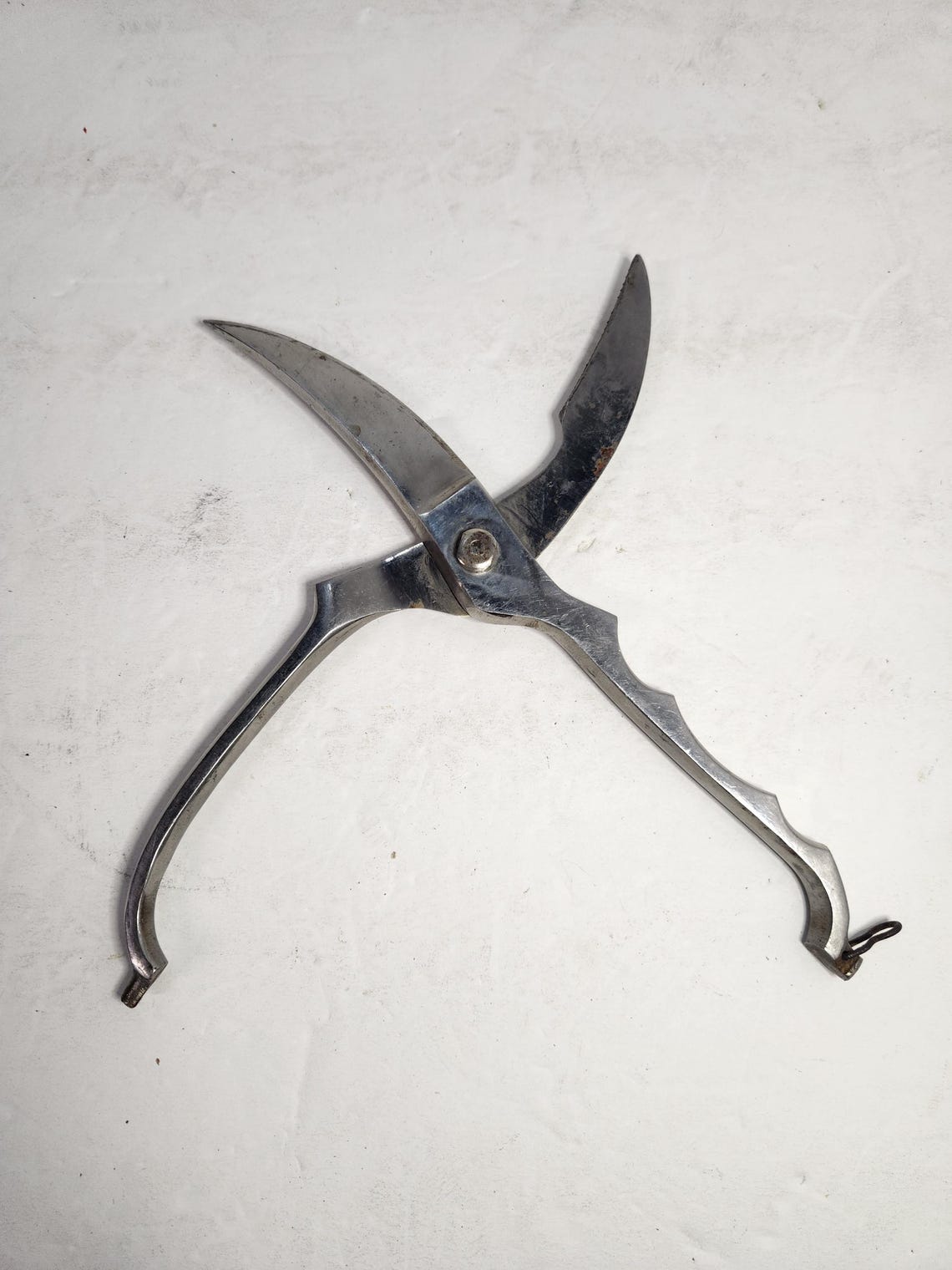 Vintage Rostfrei Stainless Steel Shears Poultry Scissors Heavy Duty ...