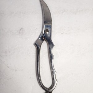 Vintage Rostfrei Stainless Steel Shears Poultry Scissors Heavy Duty ...
