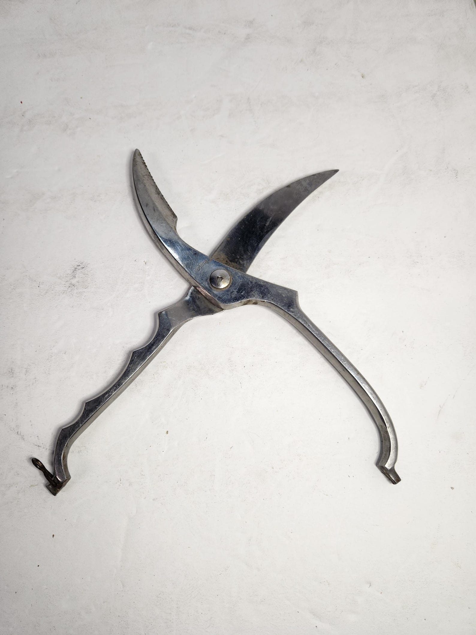 Vintage Rostfrei Stainless Steel Shears Poultry Scissors Heavy Duty ...