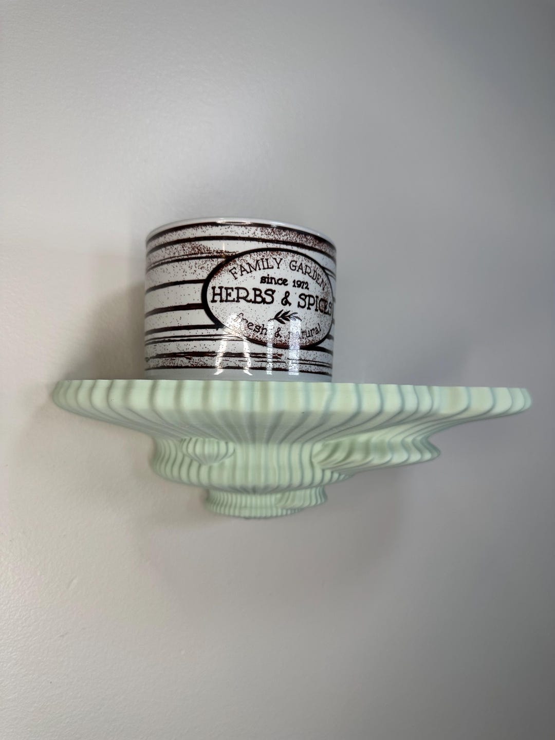 Tinder Fungus Floating Shelf | Cottagecore Decor | Plant Lovers ...