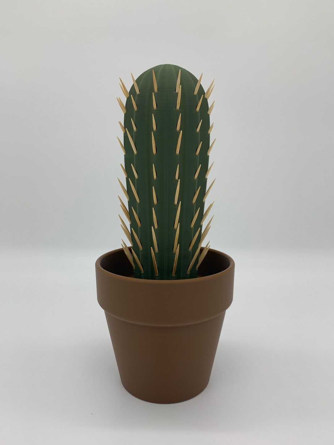 Cactus Toothpick Holder | Free Shipping | Great Gift | Perfect for ...