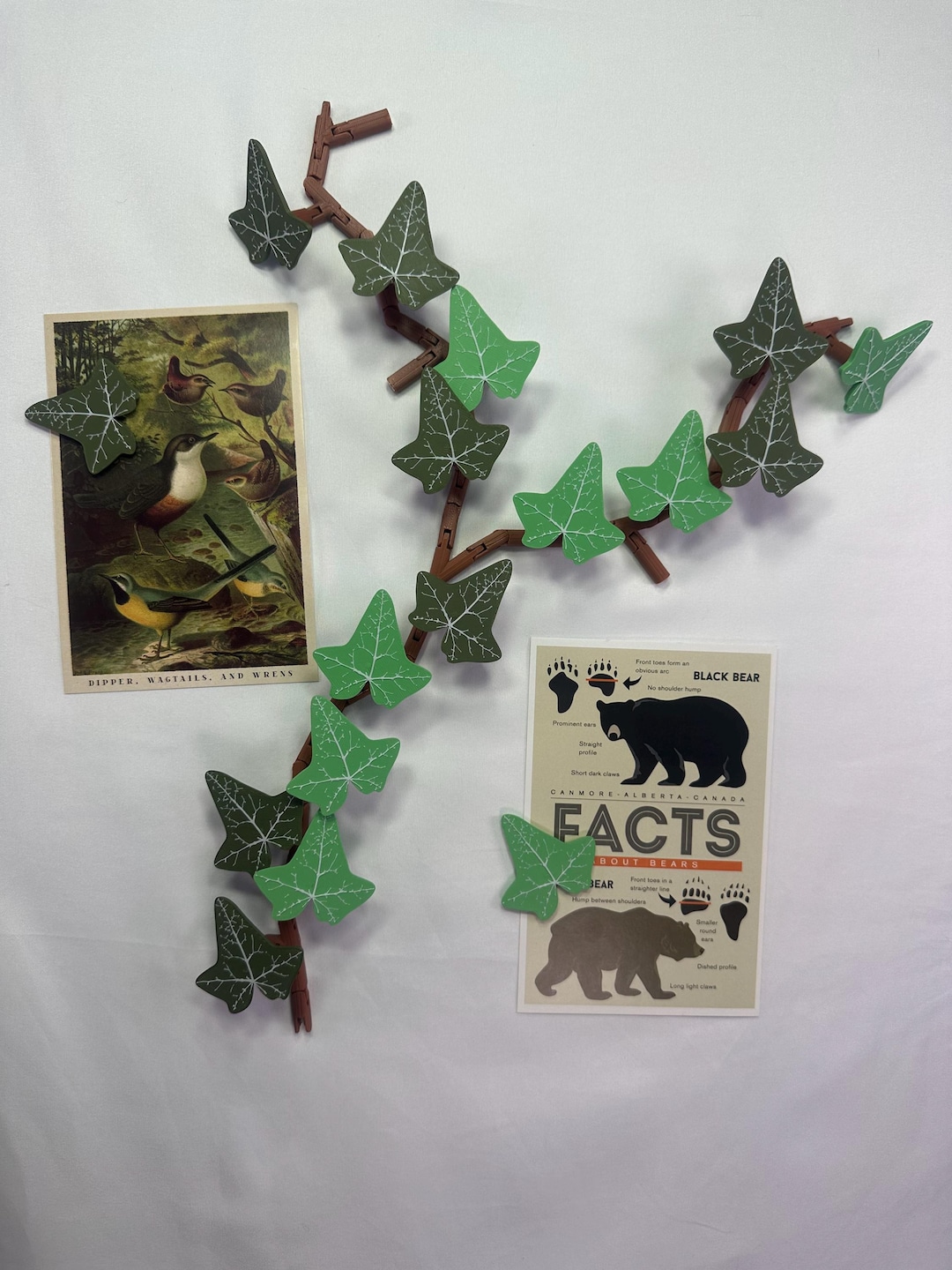 English Ivy Fridge Magnet | Forgecore Plants | Nature Plant Lover Decor ...