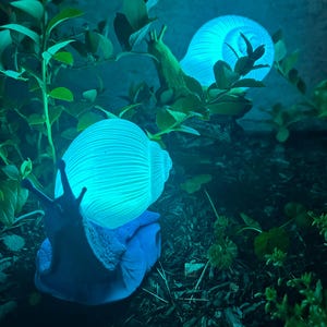 Snail Lamp | Wireless RGB | Gift for Her | Custom Lamp | Cottage Core ...