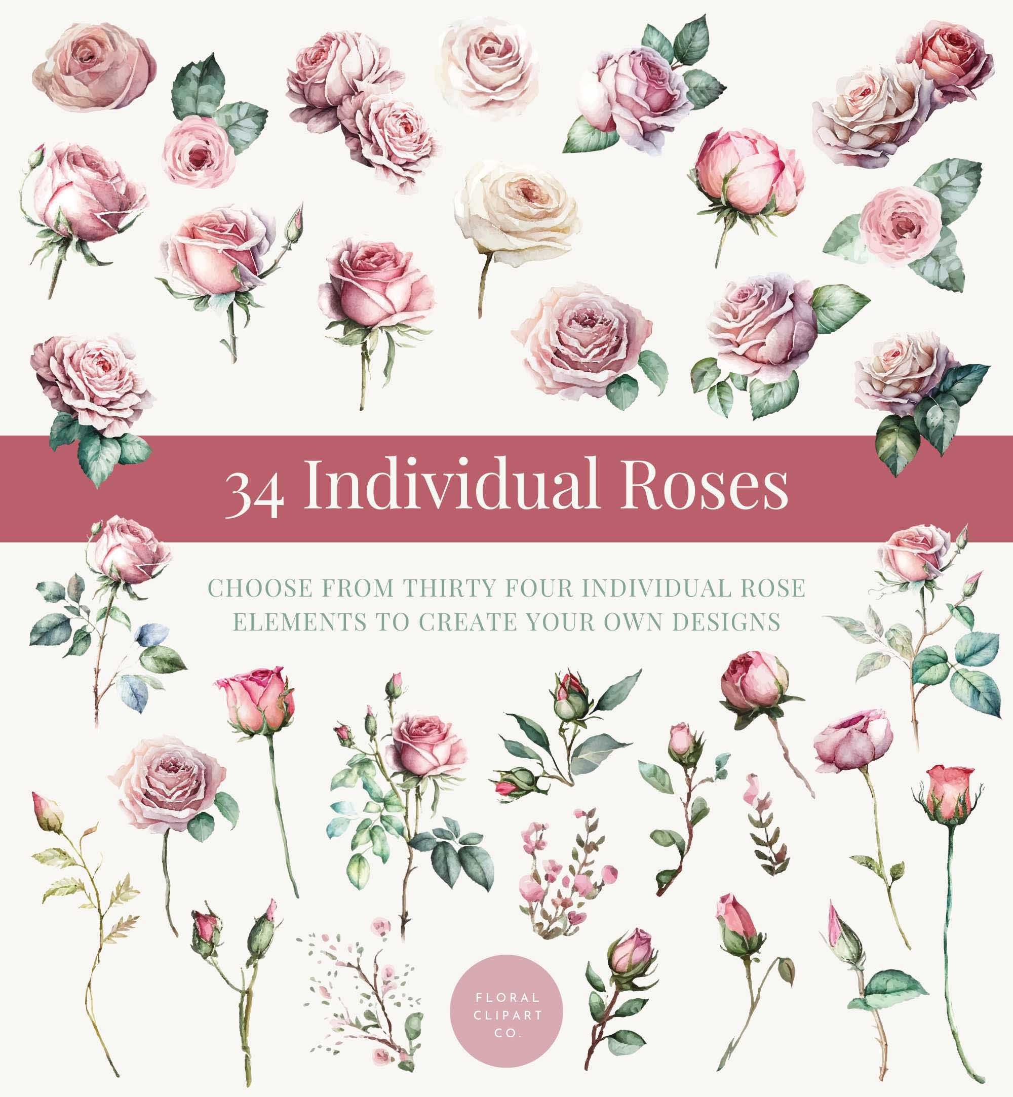 Roses Clipart, Pink Watercolor Flowers Clipart, Rose Petals, Green ...