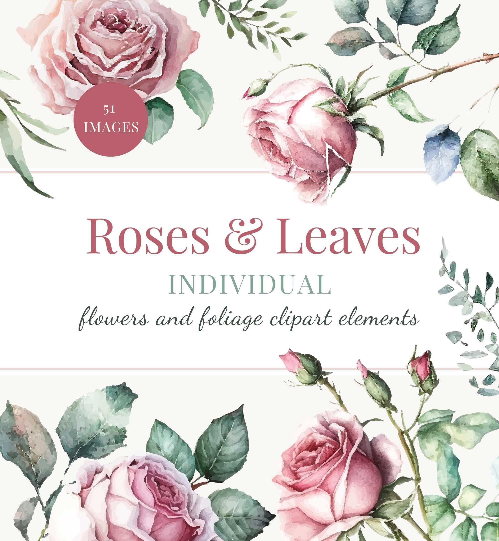 Roses Clipart, Pink Watercolor Flowers Clipart, Rose Petals, Green ...