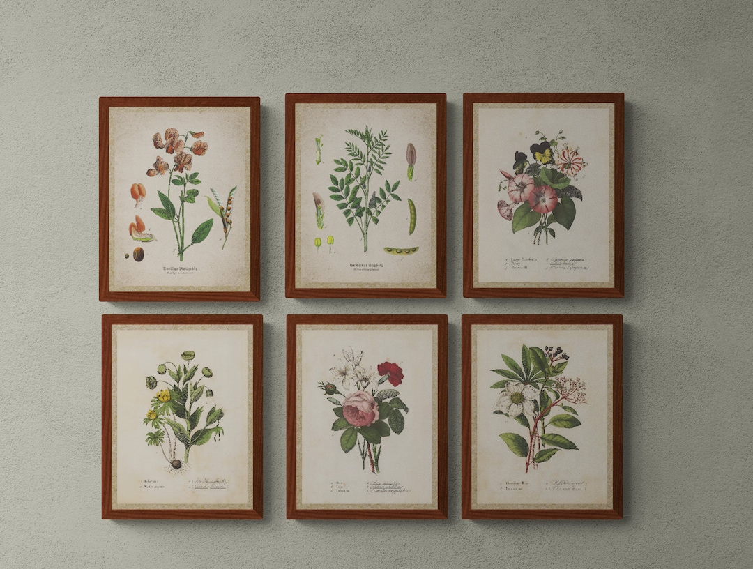 Botanical Prints Set of 6, Vintage Botanical Prints, Vintage Printable ...
