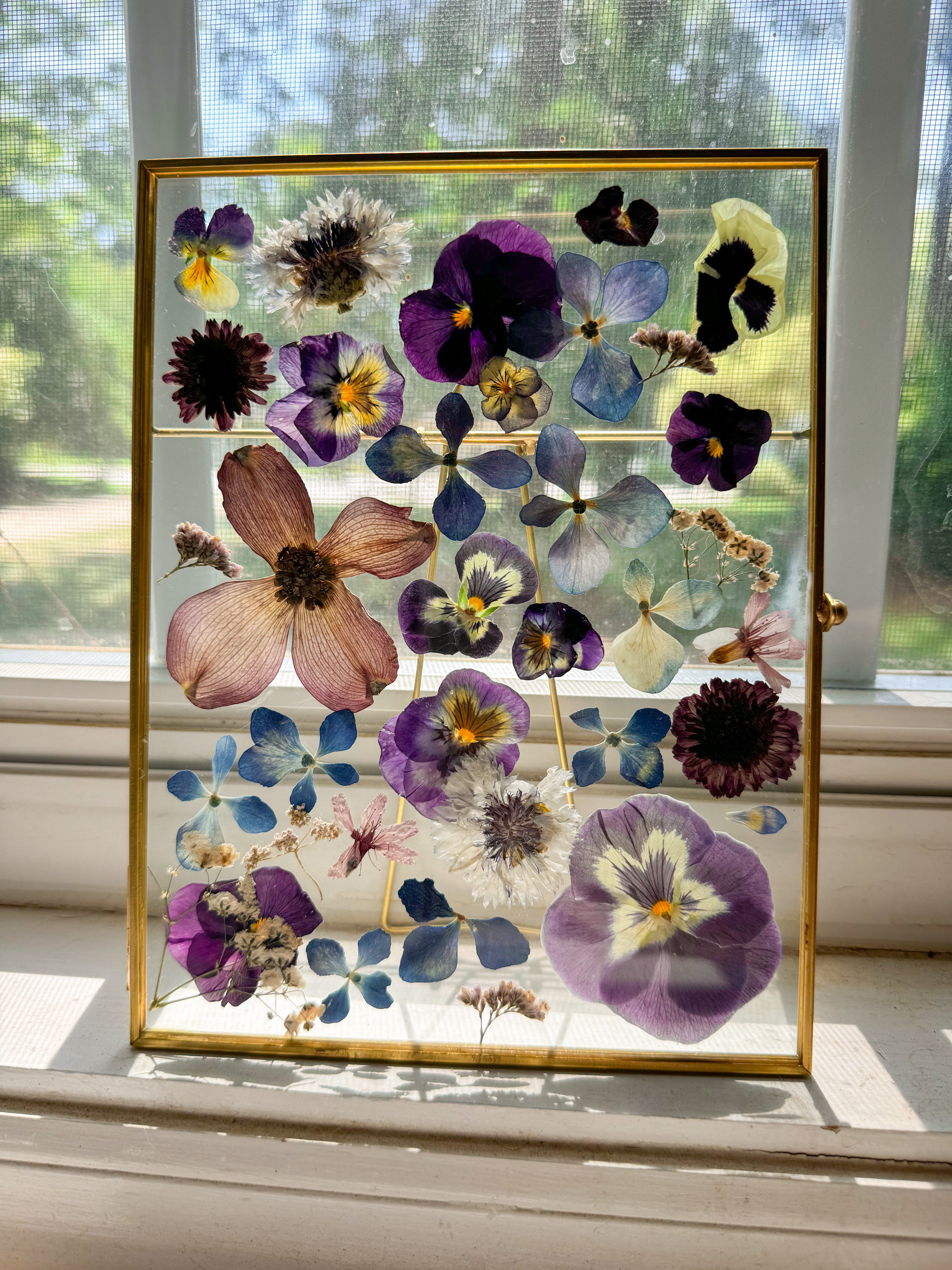 Pressed Flower Frame 13 - Etsy