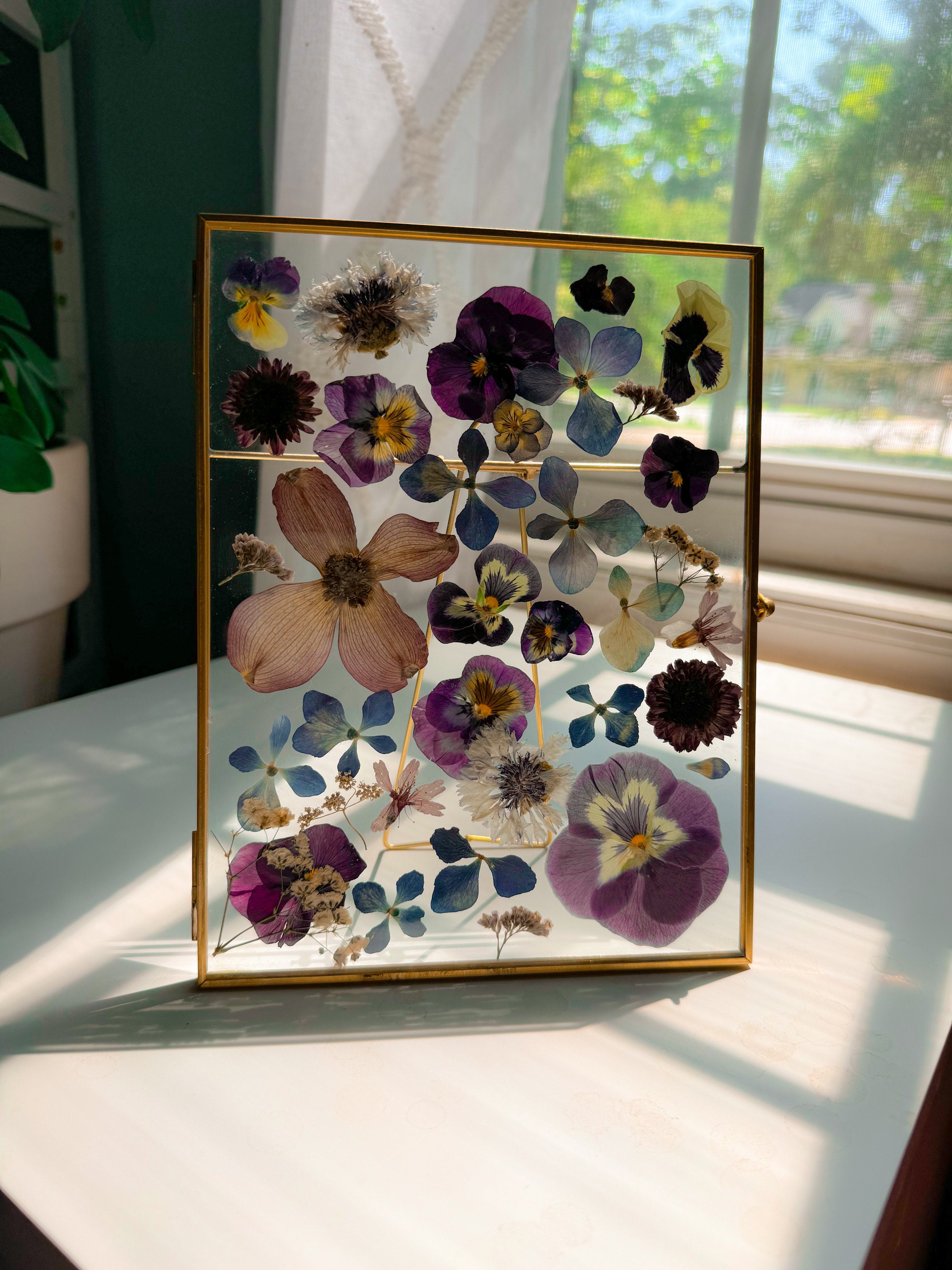 Pressed Flower Frame 13 - Etsy
