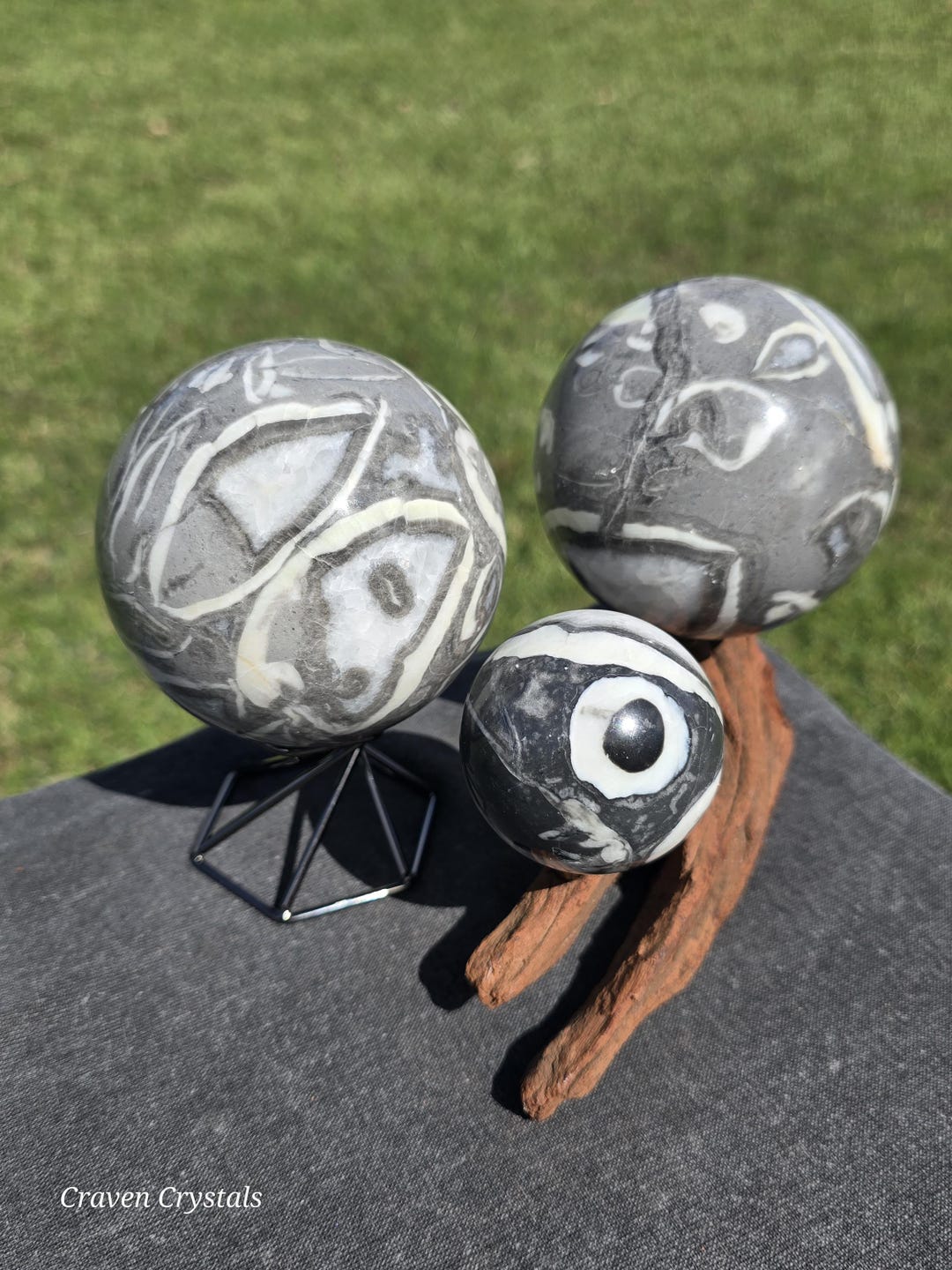 Thousand Eye Fossilized Shell Jasper Crystal Sphere - Etsy
