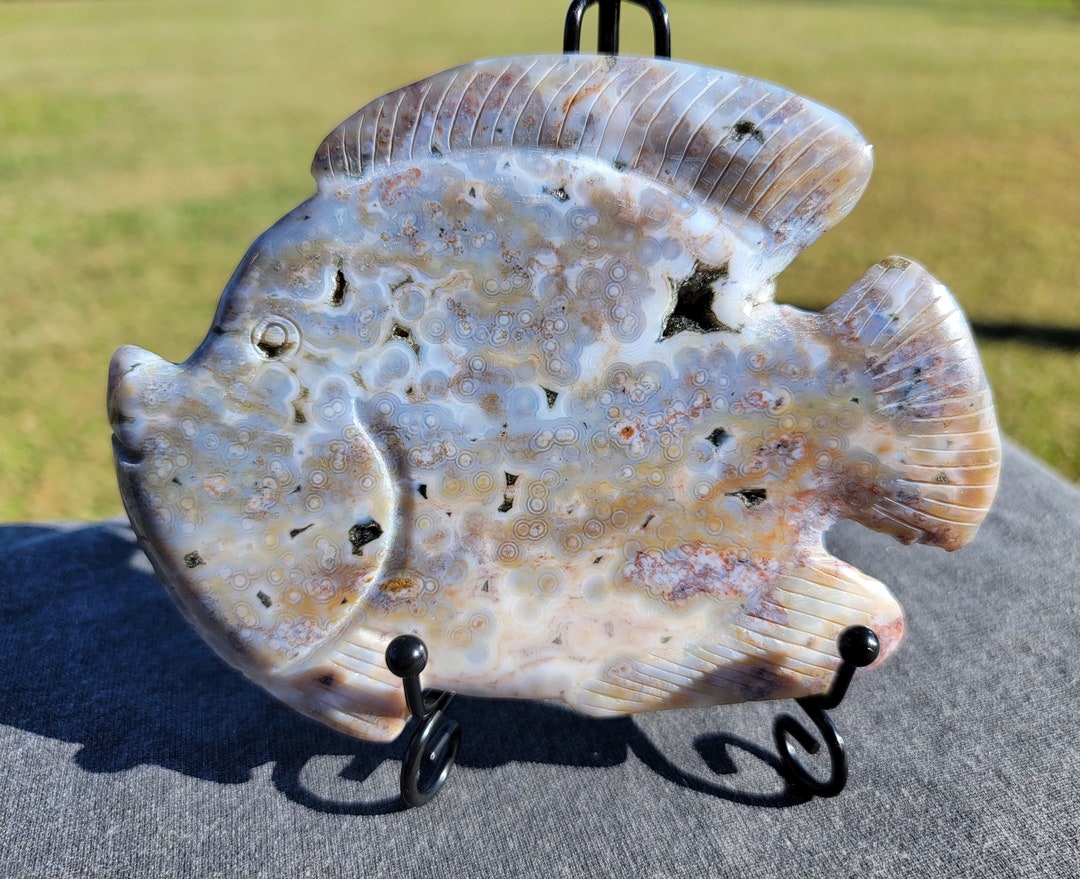 Blue 8th Vein Orbicular Ocean Jasper Fish *RARE* - Etsy