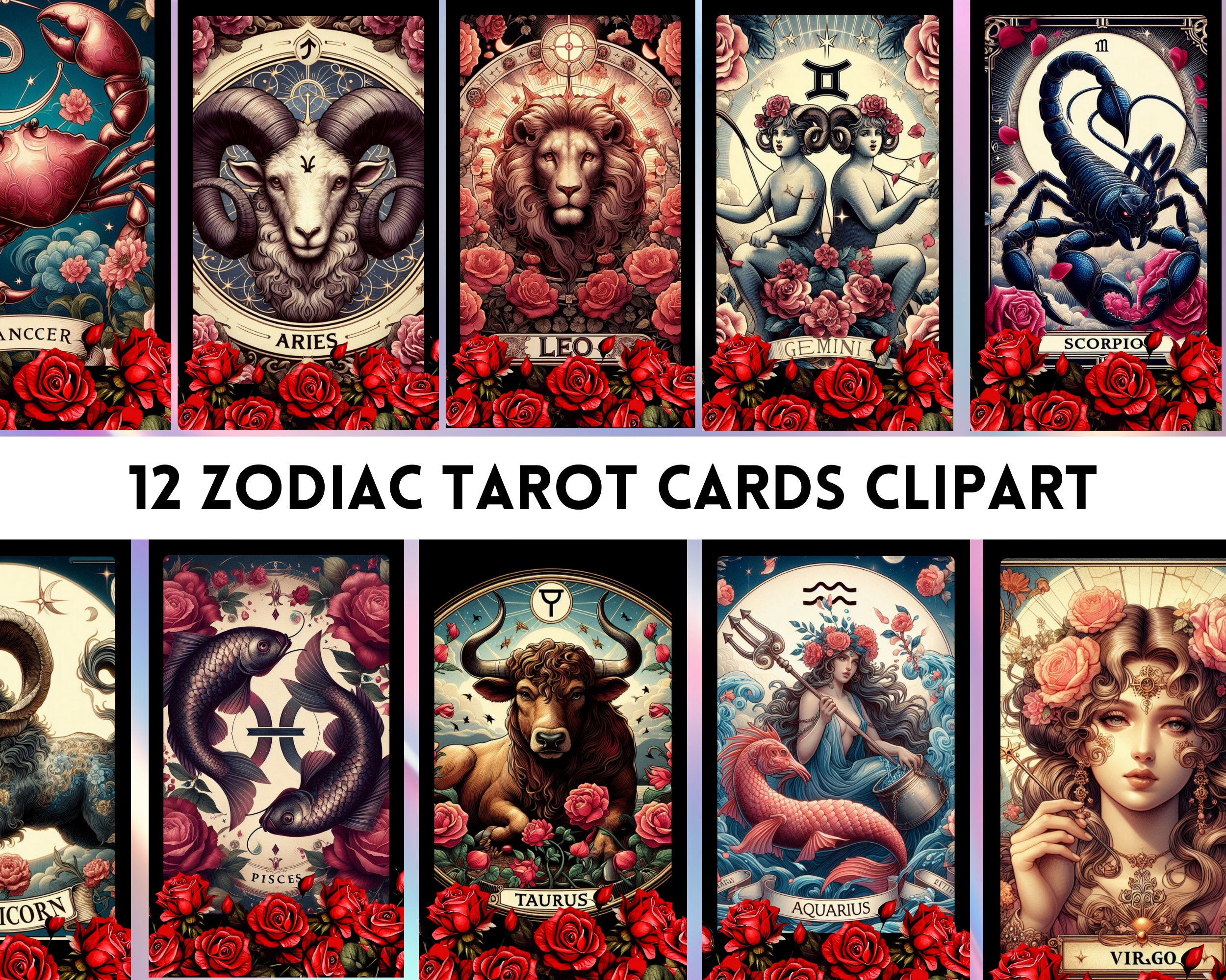 Rose Zodiac Tarot Cards Clipart, 12 Zodiac Cards Png, Zodiac Design ...