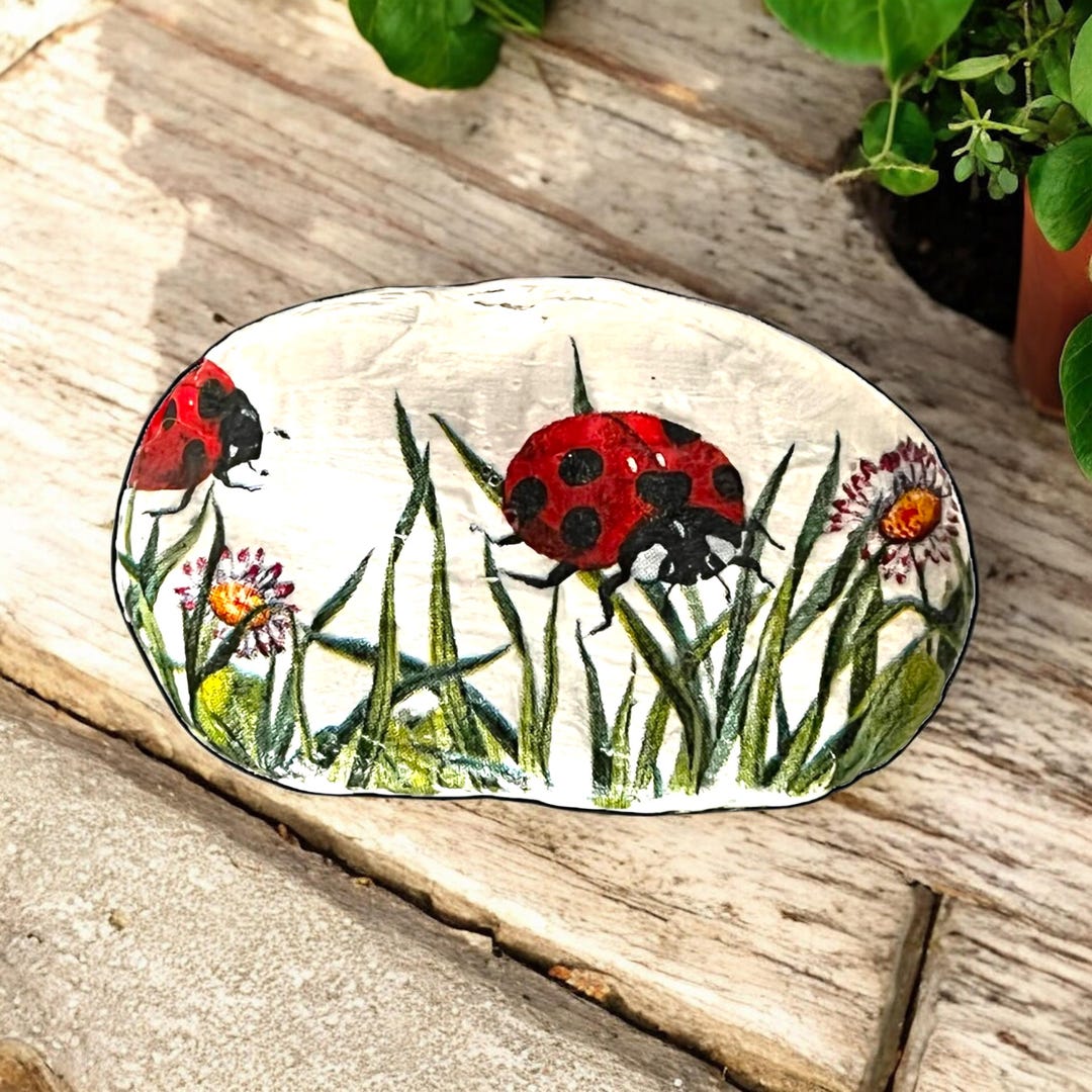 Ladybird Stones, Decorative Pebble, Ladybug Decor, Pebble Art, Garden ...