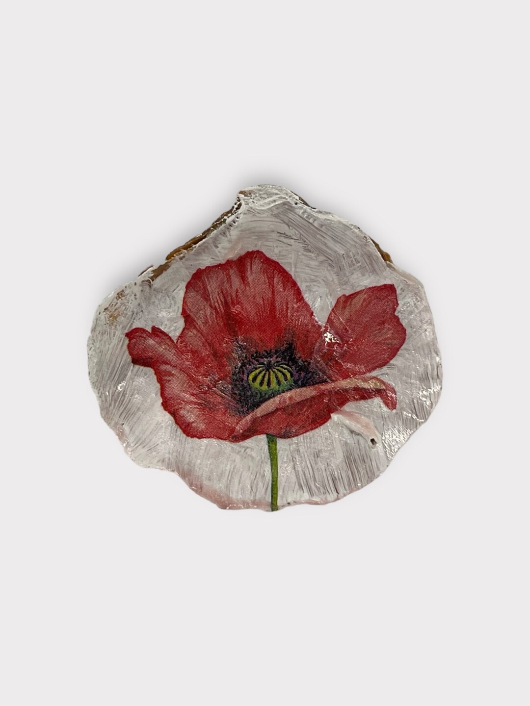 Oyster Shell, Natural Shell Decor, Poppy Shell Art, Poppy Shell, Poppy ...