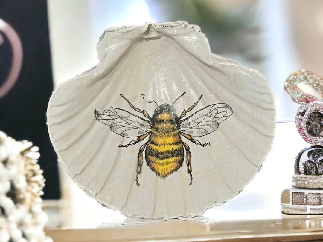 Bumble Bee Scallop Shell Trinket Dish and Soap Dish – Coastal Home ...