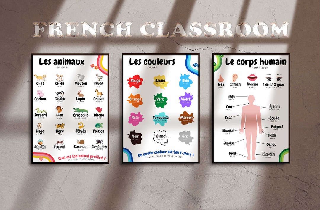 Set of 3 Educational Bilingual Posters French / English Animals, Colors ...