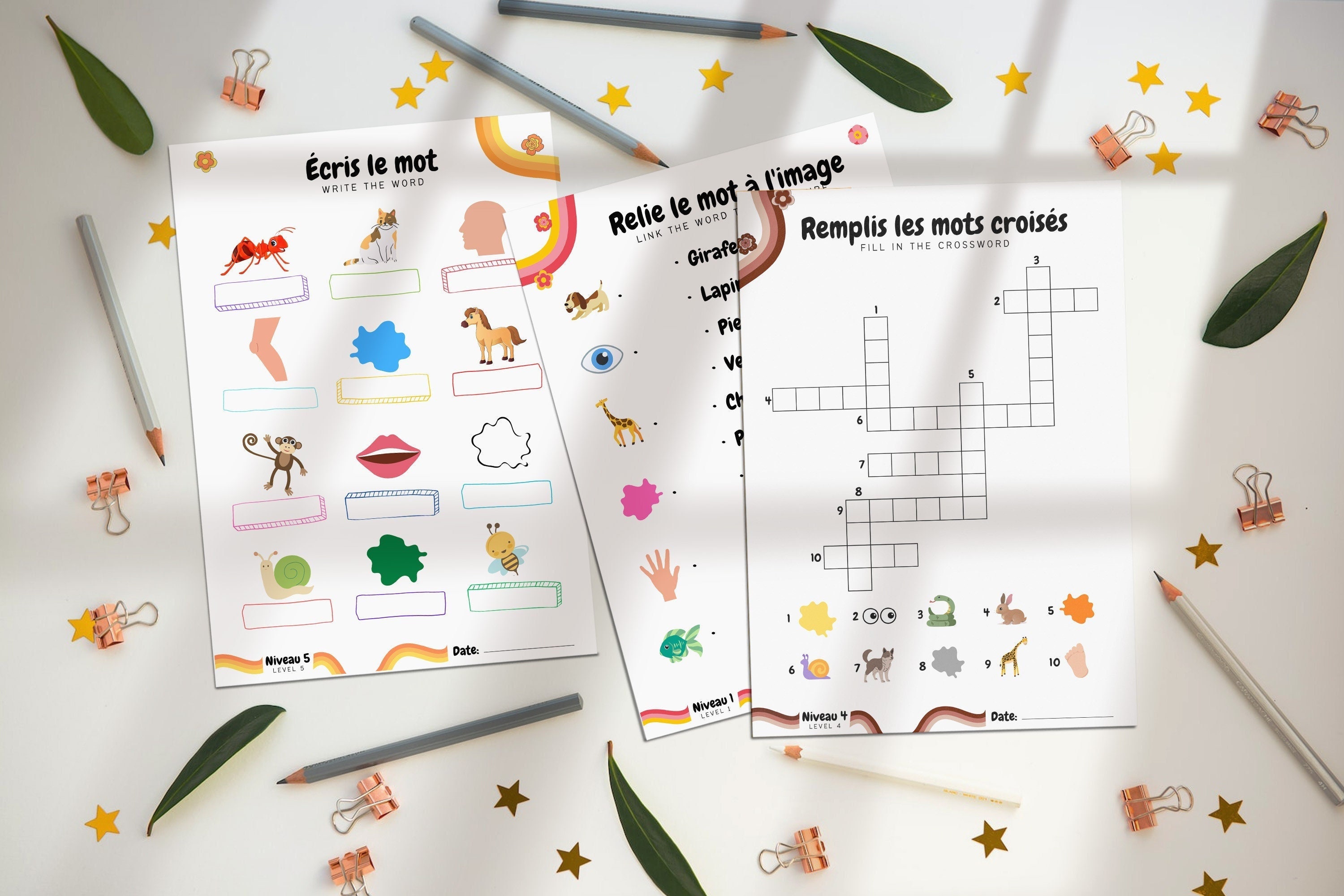 Set of 5 Printable Activity Sheets French Vocabulary Animals, Colors ...