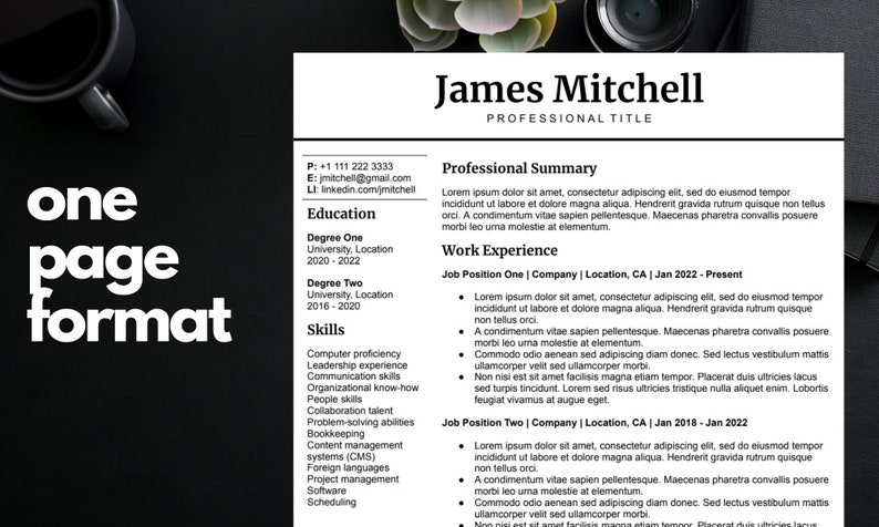2024 Professional Resume Template Modern & Customizable CV Design for ...