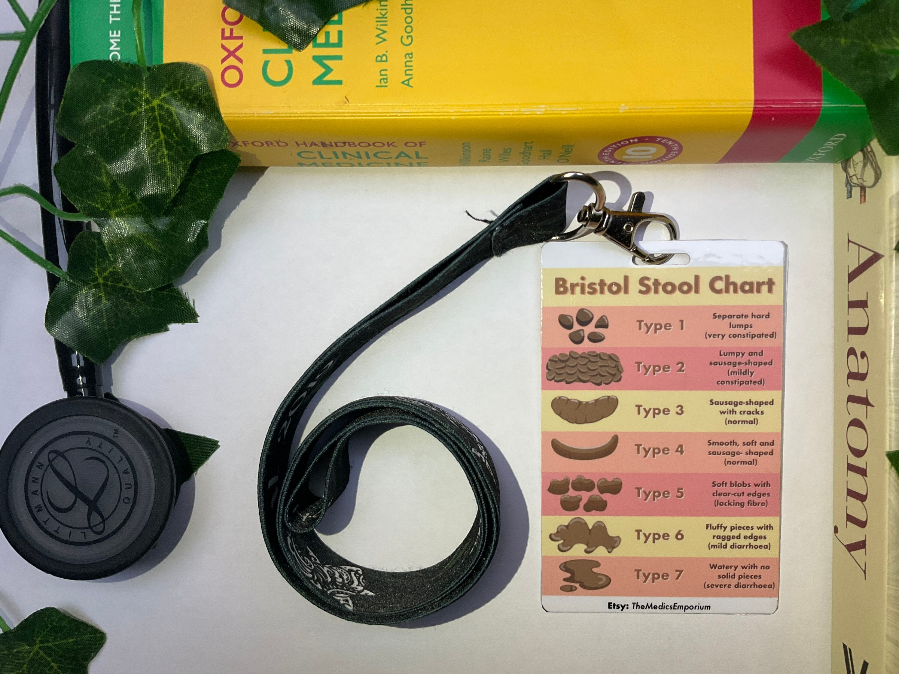 Bristol Stool Chart and NEWS Lanyard Medical Reference Cards - Etsy ...