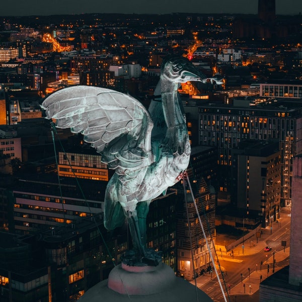 Liverpool Liver Bird Sculpture - Etsy UK