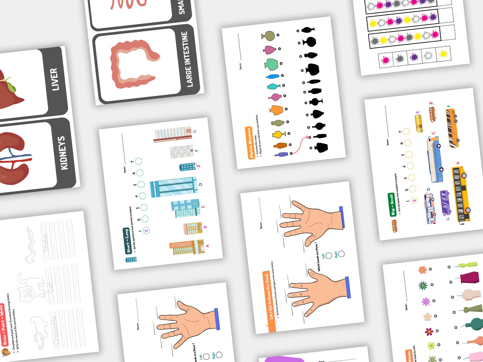 100 Coloring Pages & Printable School Activity Worksheets for Kids - Etsy