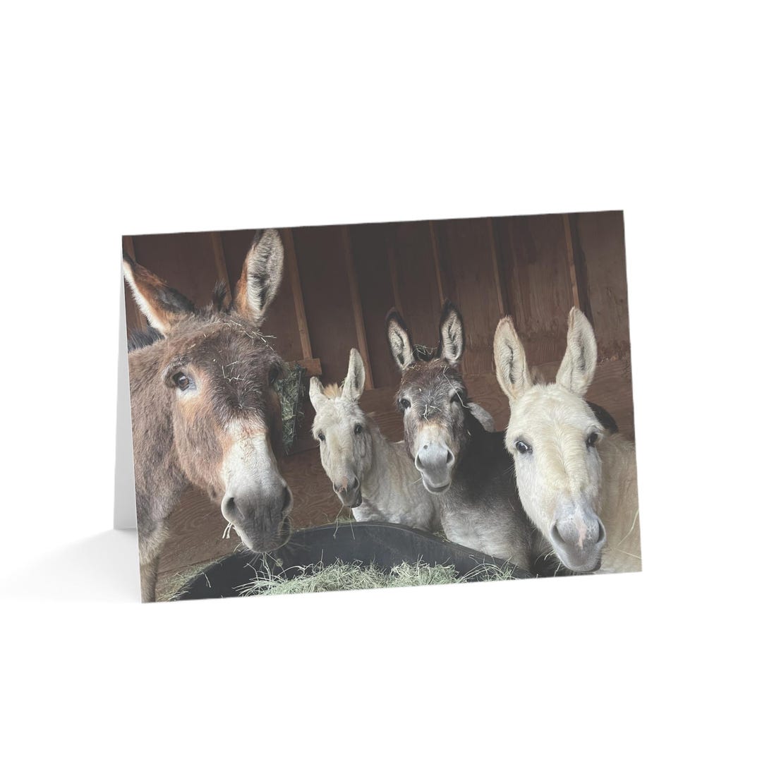 Darling Donkey Friends Greeting Cards (1, 10, 30, and 50pcs) - Etsy