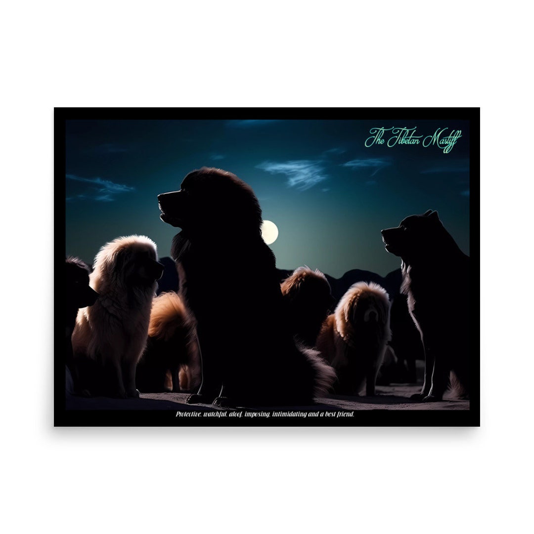 Tibetan Mastiff, Poster - Etsy