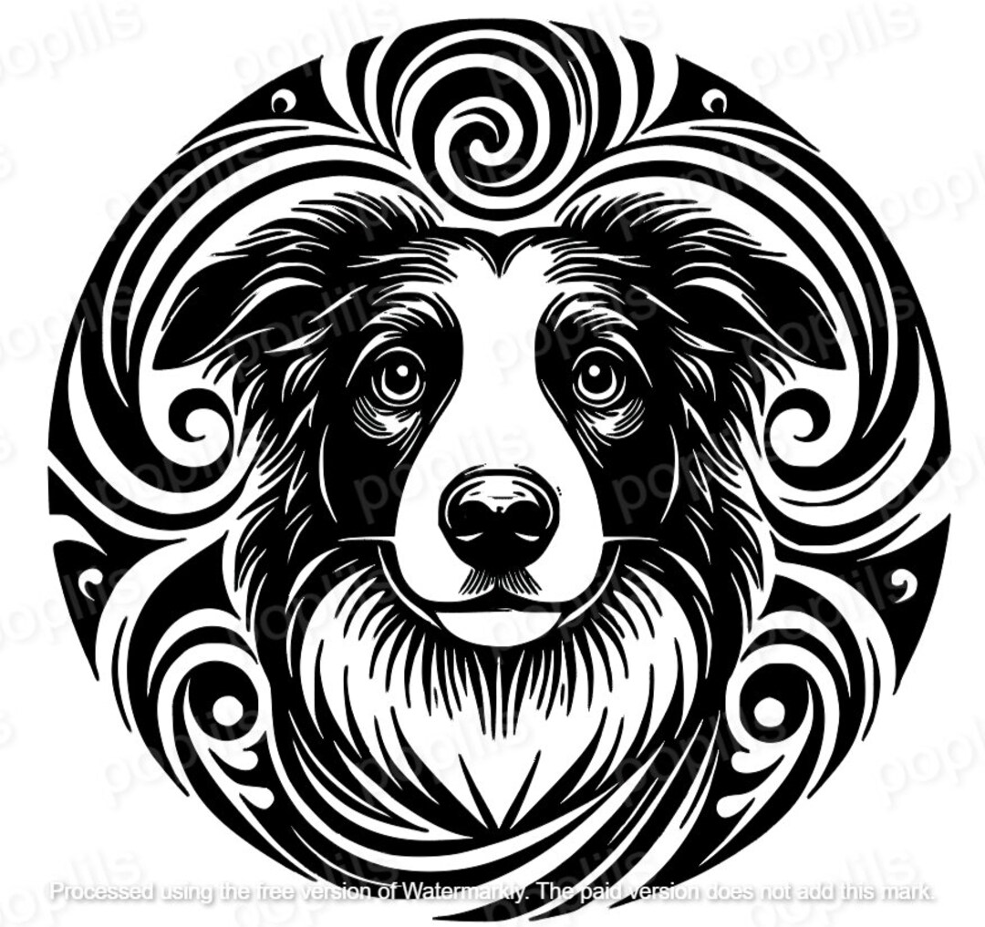 Border Collie Svg Png Jpg File - Etsy