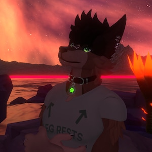 Vrchat Furry Avatar Texture for Archer Canine 4K 20 - Etsy
