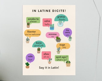 Latin Declension Classroom Poster Handout for Latin Teaching- Digital ...