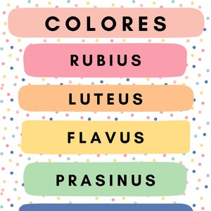 Latin Colors Classroom Poster- Digital Download - Etsy