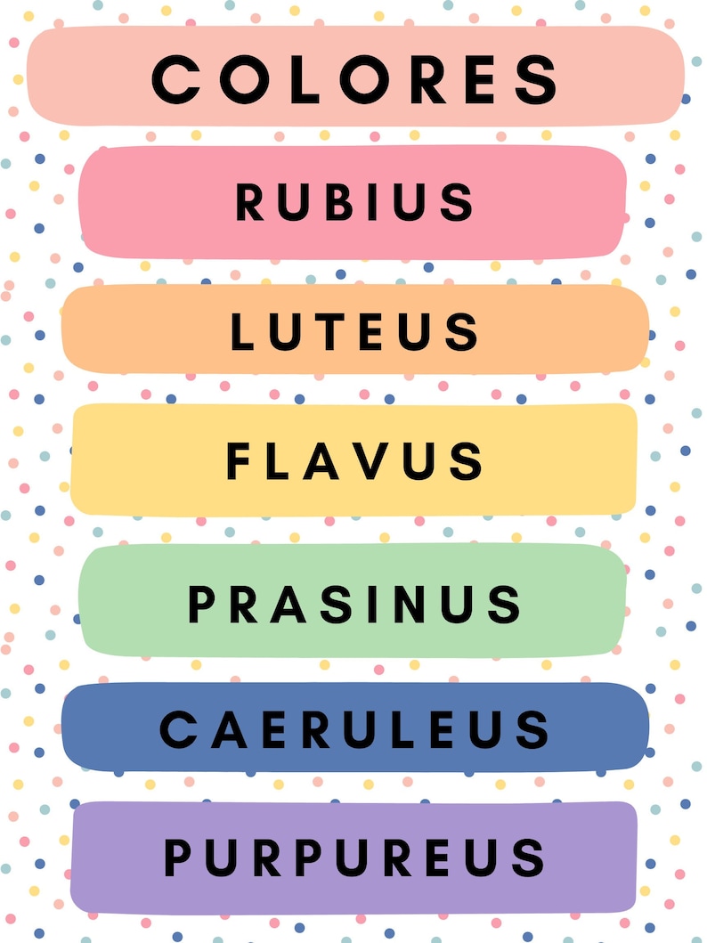 Latin Colors Classroom Poster- Digital Download - Etsy
