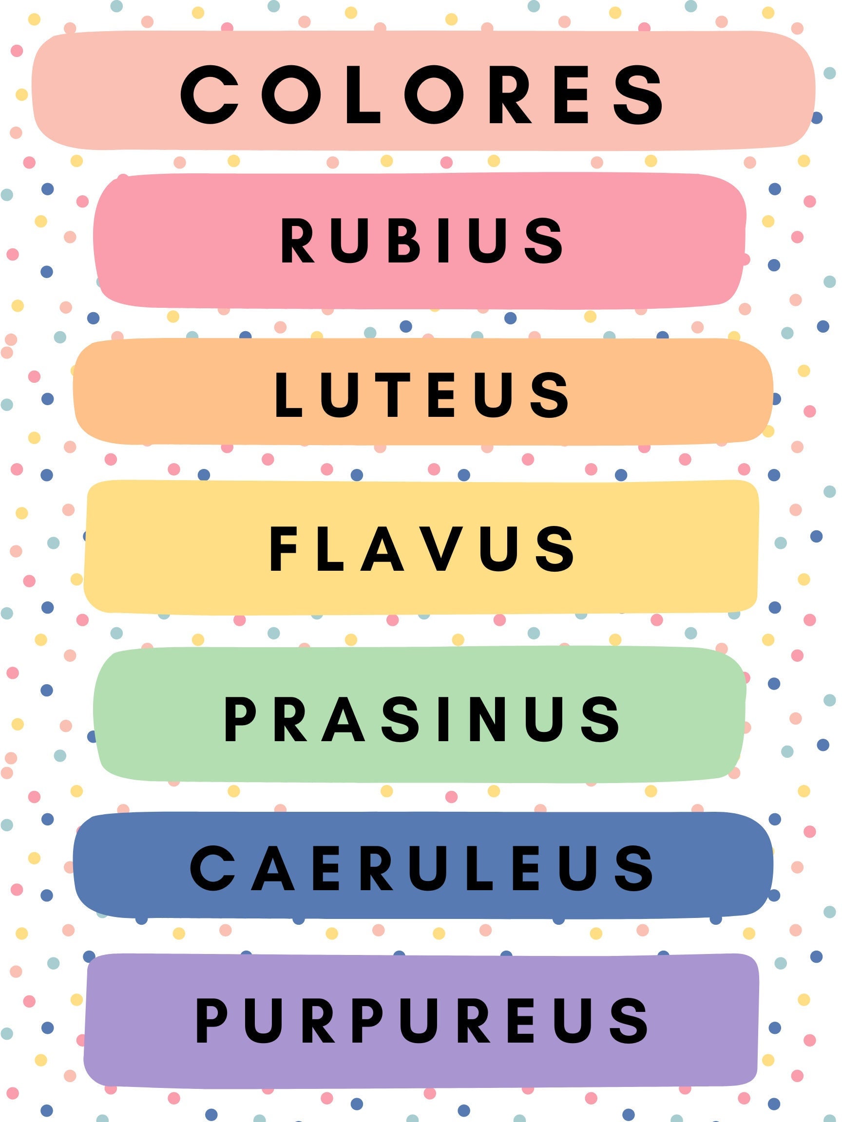 Latin Colors Classroom Poster- Digital Download - Etsy