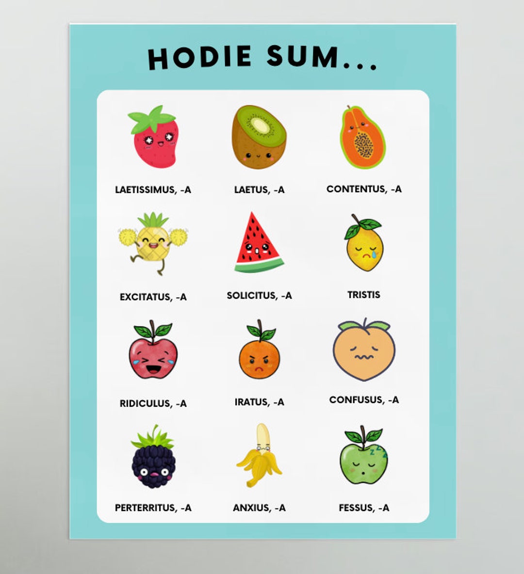 Feelings Classroom Poster for Latin Teachers- Digital Download - Etsy