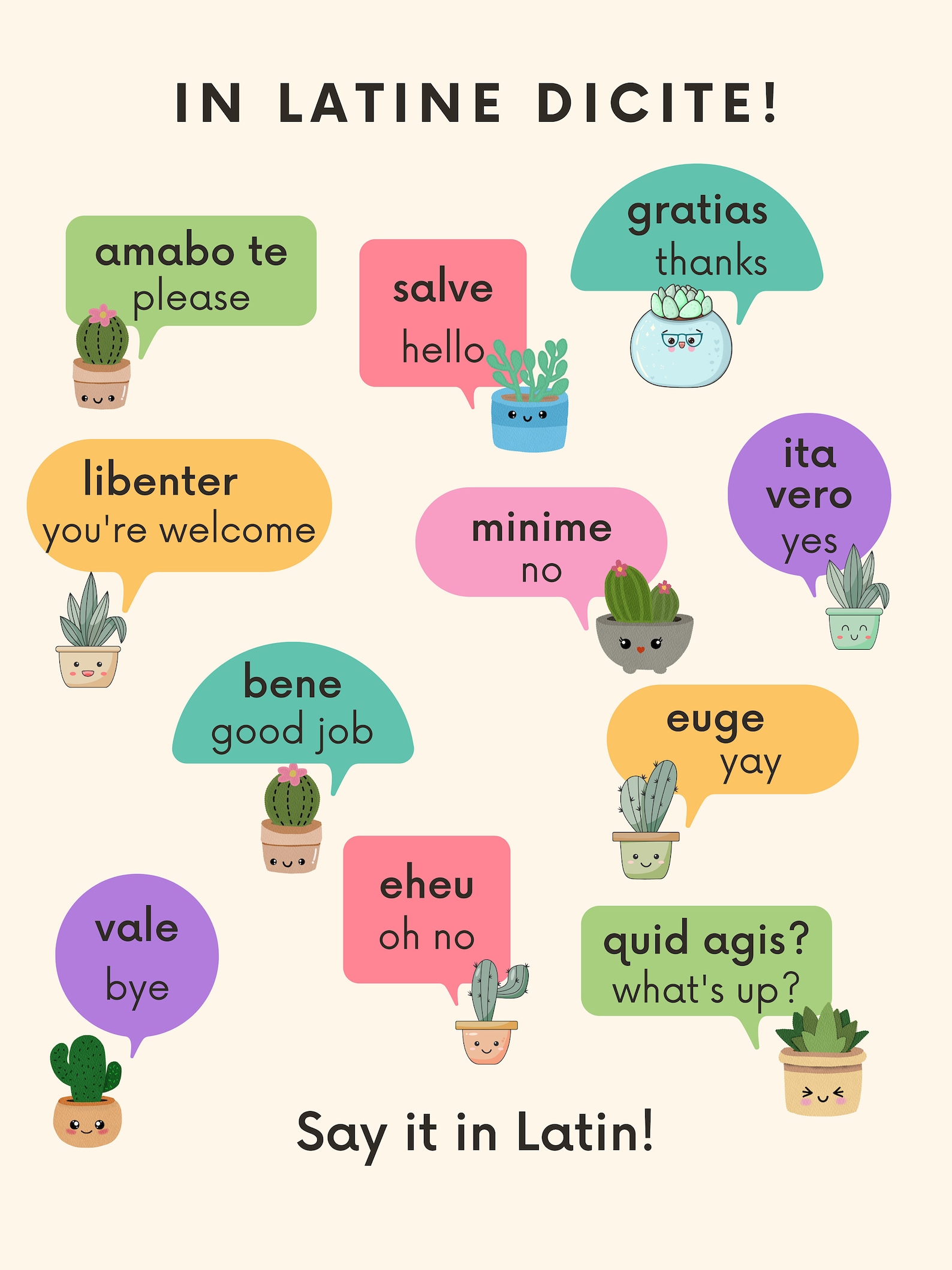Conversational Latin Classroom Poster- Digital Download - Etsy