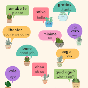 Conversational Latin Classroom Poster- Digital Download - Etsy