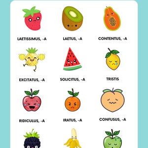 Feelings Classroom Poster for Latin Teachers Digital Download - Etsy