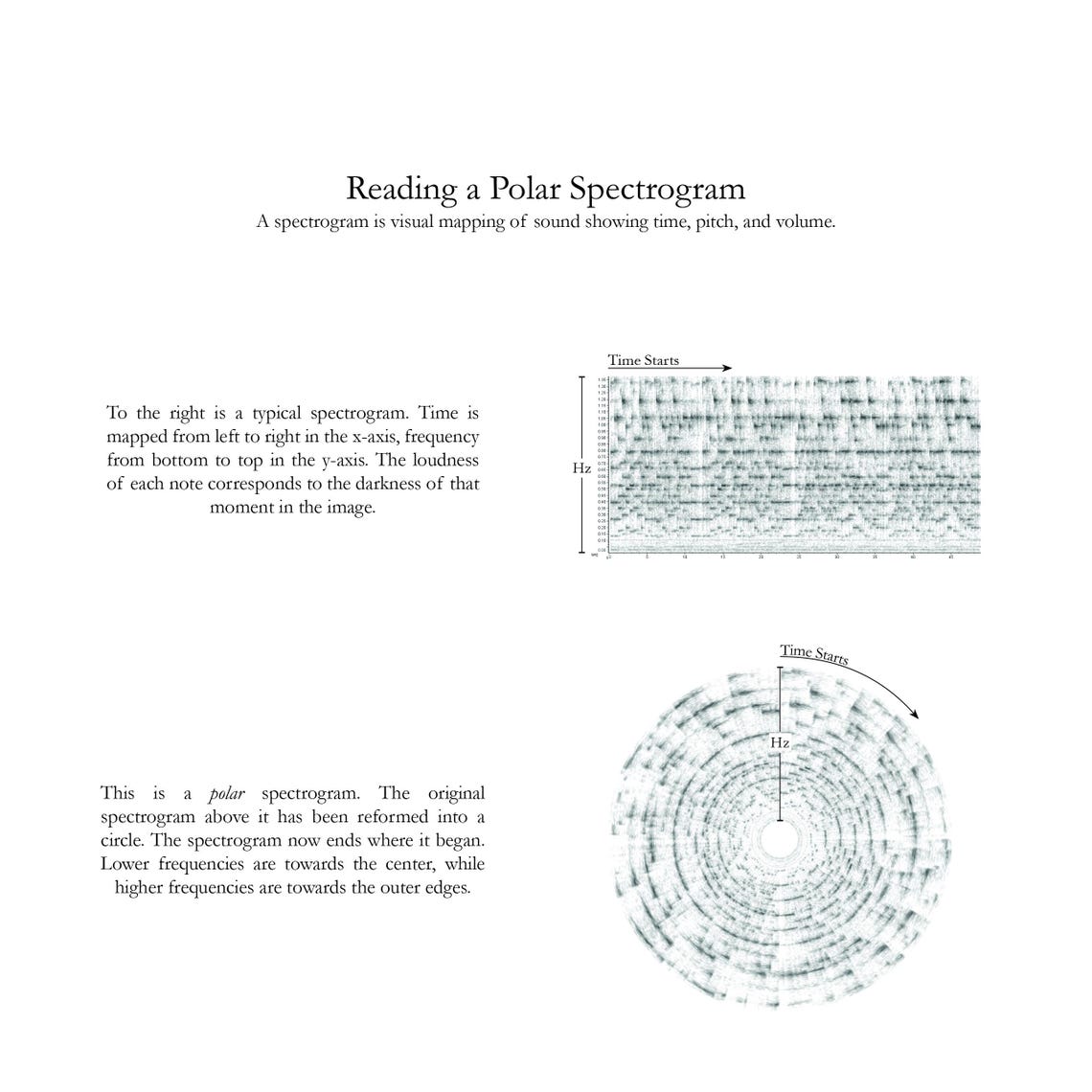 Cicadas Chirping Sound - Sound Wave Art - Sound Visualization Print ...