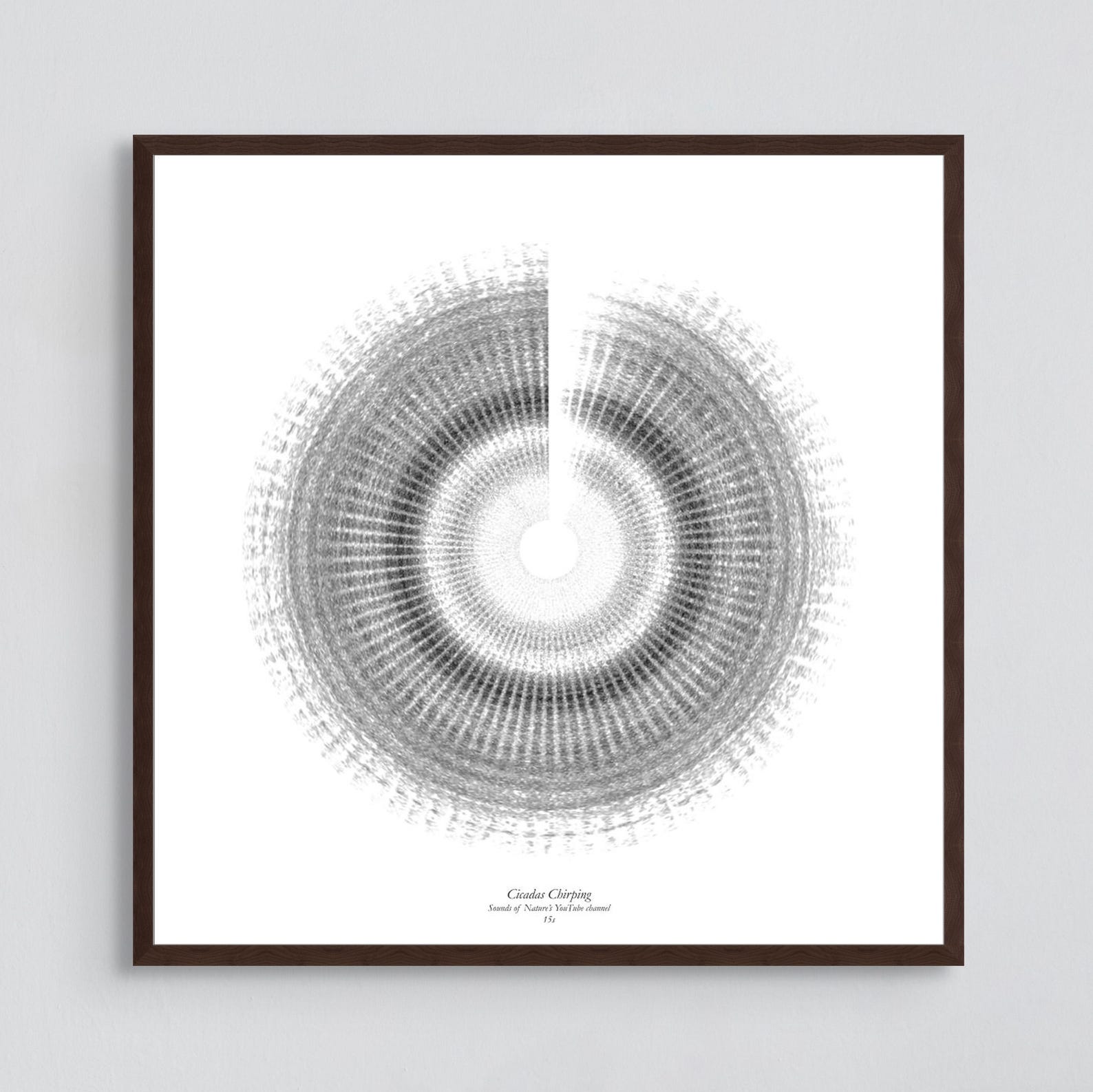 Cicadas Chirping Sound - Sound Wave Art - Sound Visualization Print ...