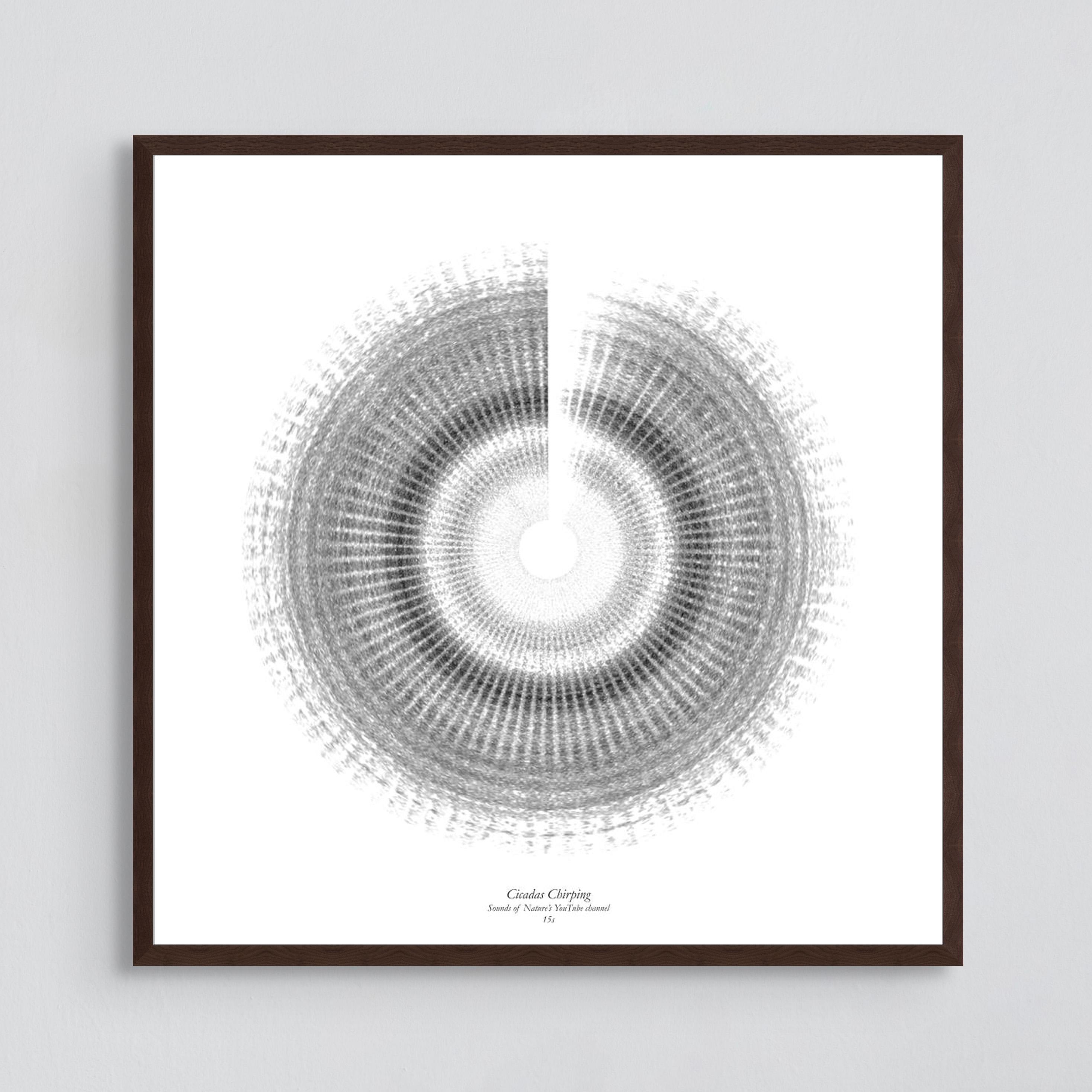Cicadas Chirping Sound - Sound Wave Art - Sound Visualization Print ...