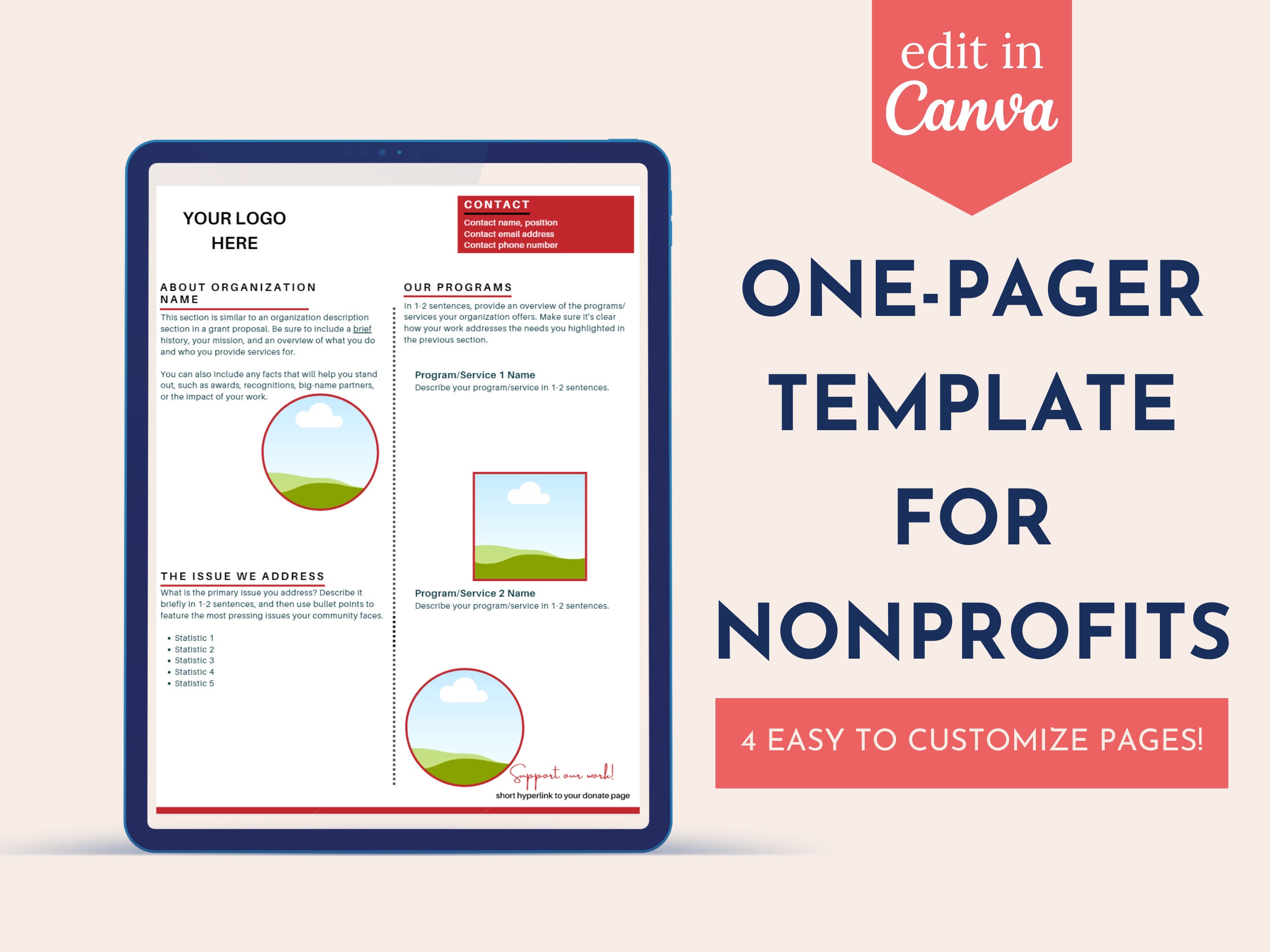 One-page Overview for Nonprofits | Program Handout | Organization ...