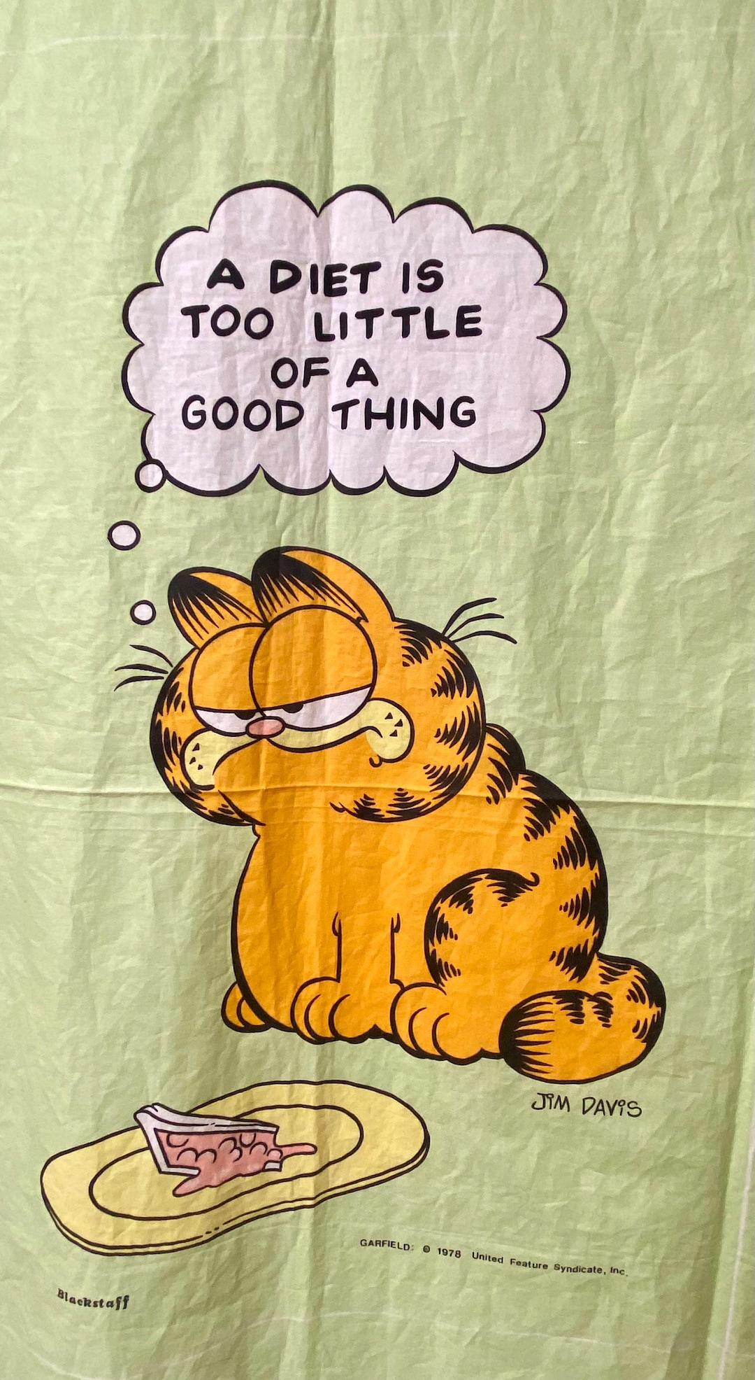 Garfield Pillow Fabric. Enough to Make 6 - Etsy