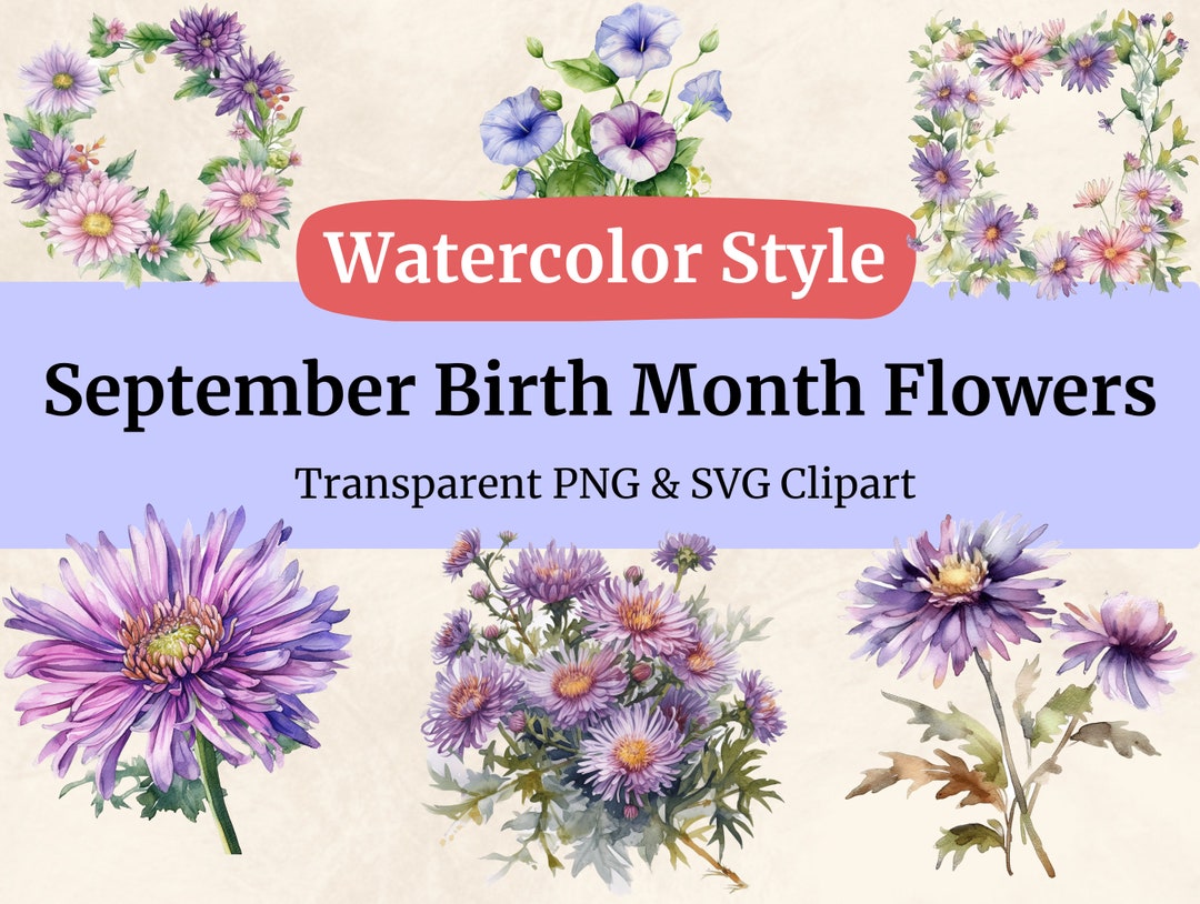 September Birth Month Flower Clipart SVG PNG Flower Invitation Birth ...