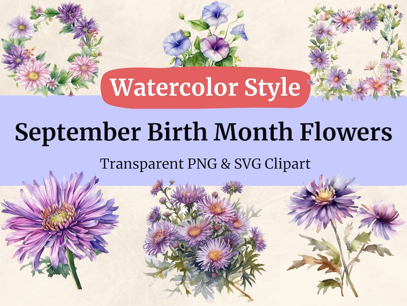 September Birth Month Flower Clipart SVG PNG Flower Invitation - Etsy