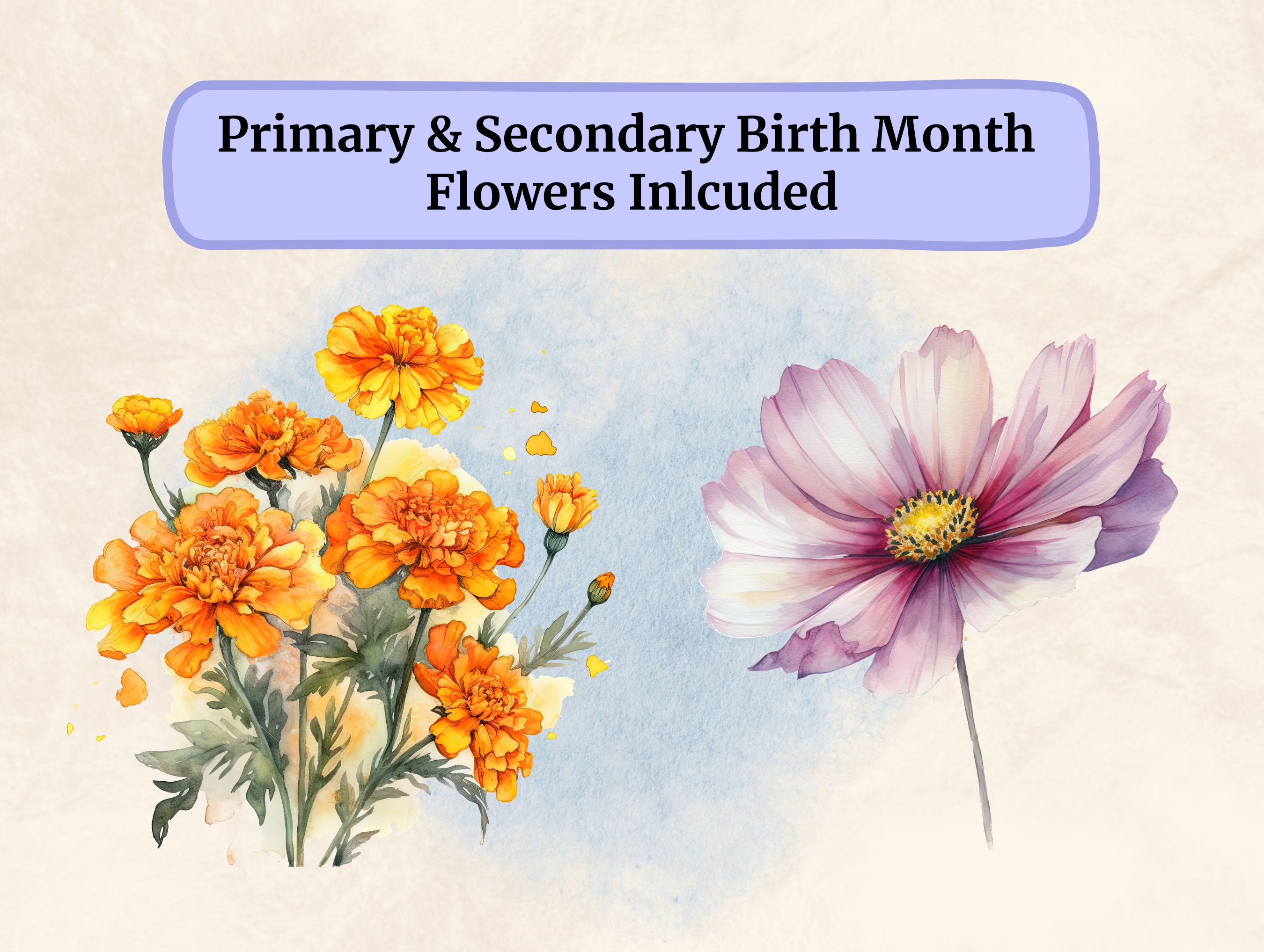 October Birth Month Flower Clipart SVG PNG Flower Invitation Birth ...